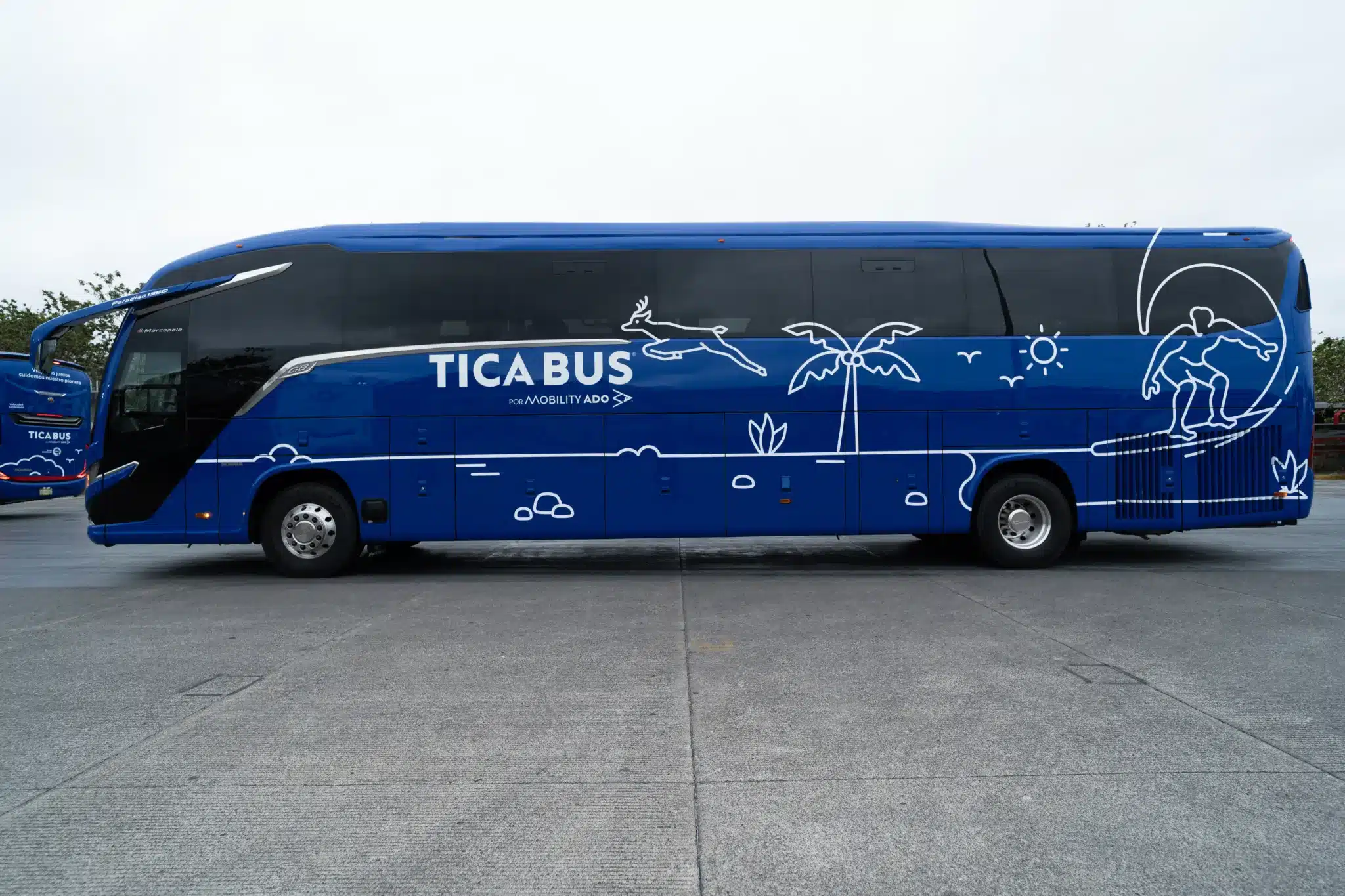 Tica Bus invierte en su flotilla para ofrecer mejor servicio